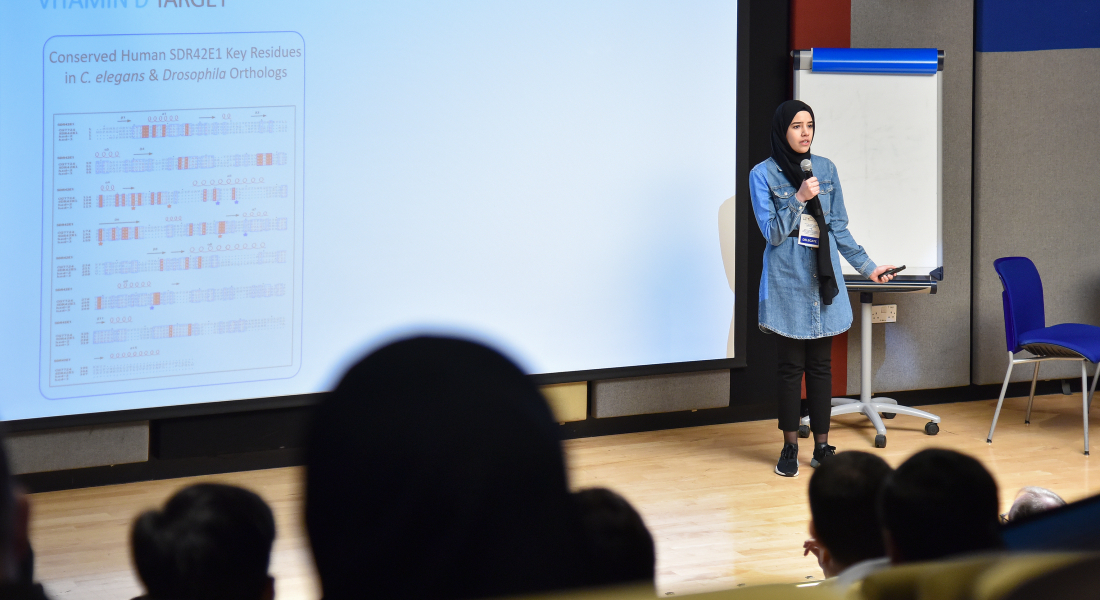 Image Gallery | UDST