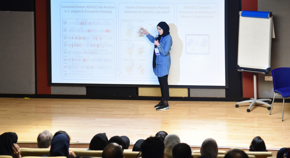 Image Gallery | UDST