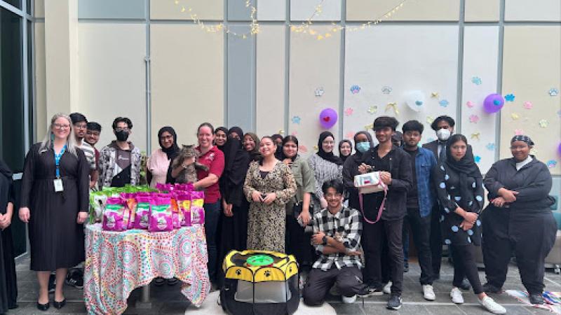 Four Paws Club | UDST