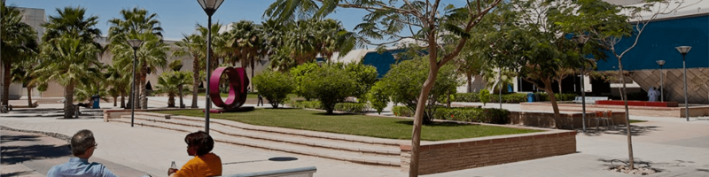 Tuition and Fees | UDST