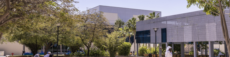 Program Development & Accreditation | UDST