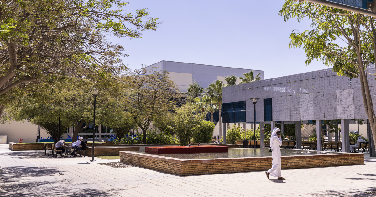 Program Development & Accreditation | UDST